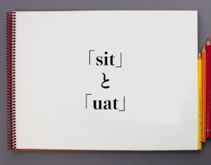 「sit」と「uat」の違いとは？分かりやすく解釈 | 意味解説辞典