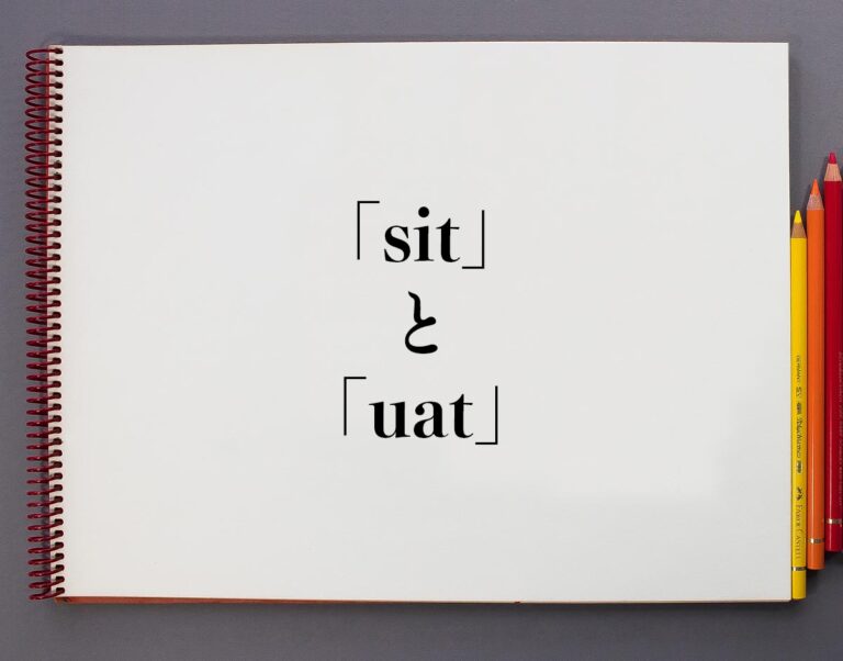 「sit」と「uat」の違いとは?分かりやすく解釈 意味解説辞典