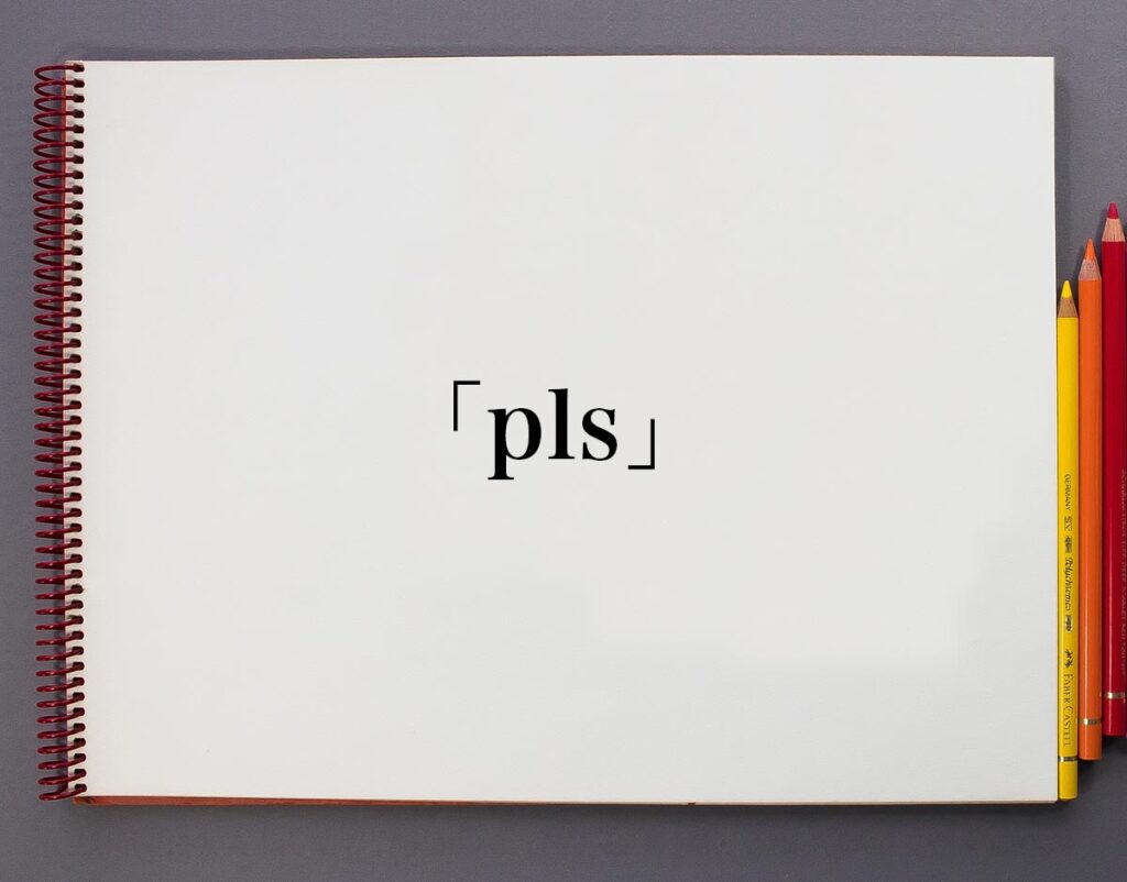 「pls」とは？意味や言葉の使い方、概要(元ネタ)など | 意味解説辞典